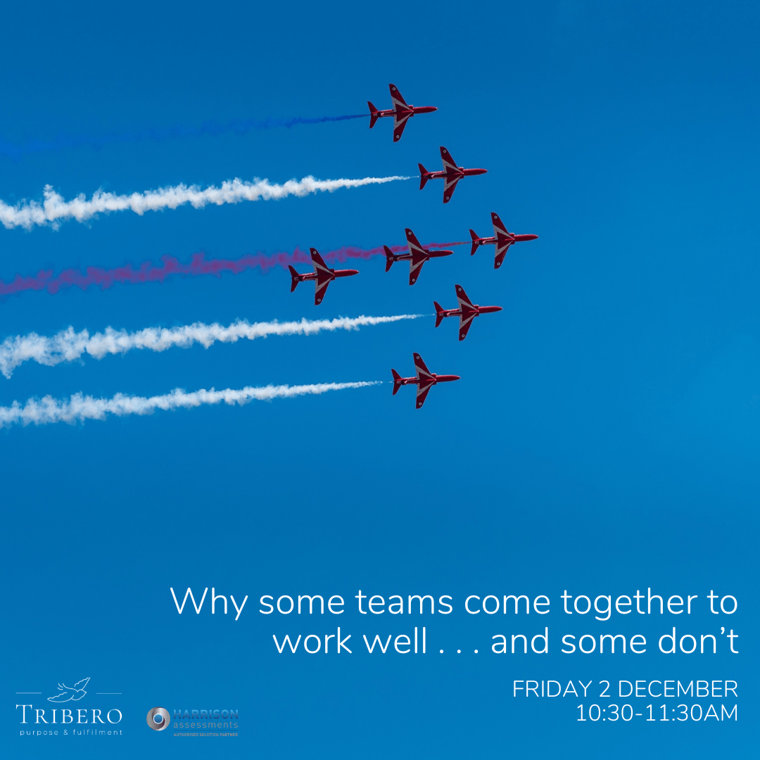 Why some teams come together to work well . . . and some don’t - North ...